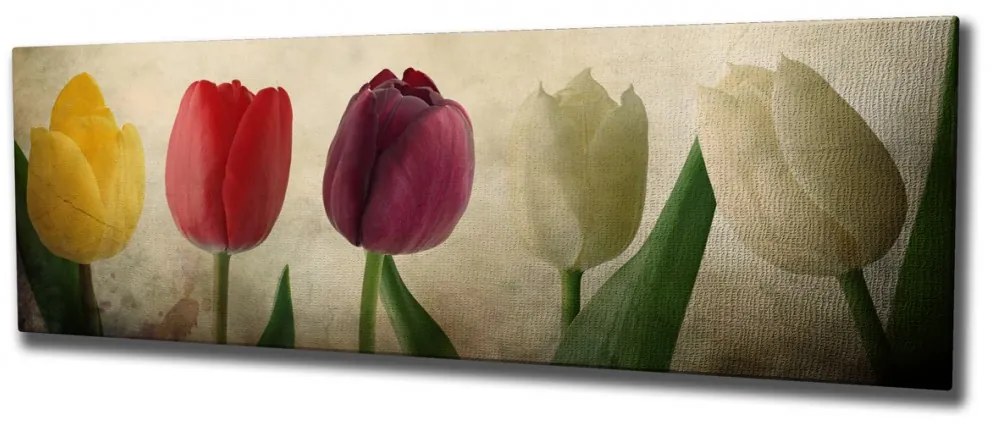 Obraz Tulipány 80x30 cm