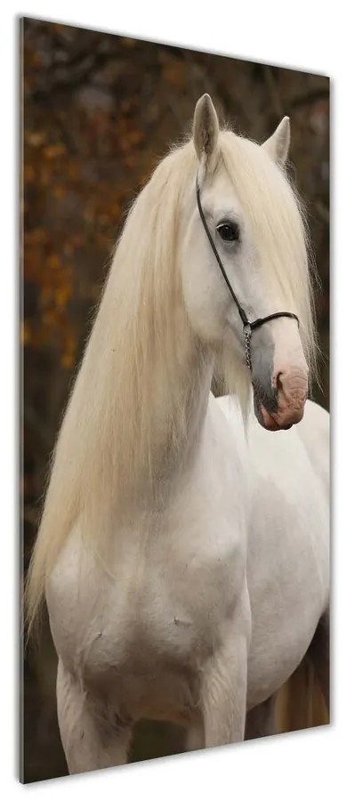 Wallmuralia Foto obraz sklo tvrzené Bílý kůň 50x125 cm