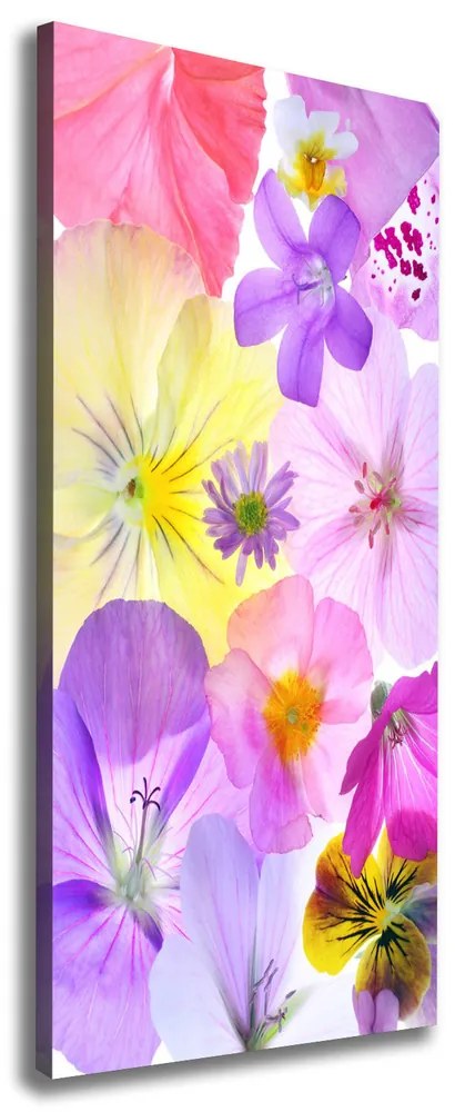 Wallmuralia Foto obraz na plátně Barevné květiny 50x125 cm