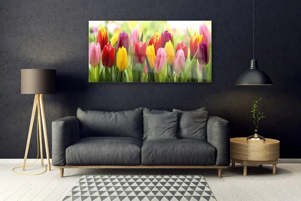 Plexisklo-obraz Tulipány Květiny Příroda 120x60 cm
