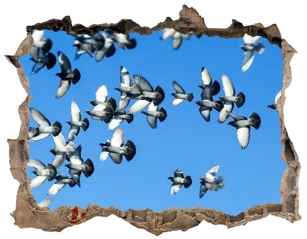 Wallmuralia Samolepící díra na stěnu Stádo holubů 95x64 cm