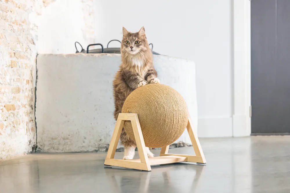 Designed by Lotte DBL Kulaté škrabadlo pro kočky Globe Xem
