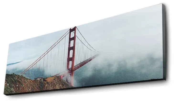 Obraz s LED osvětlením GOLDEN GATE V MLZE 64 30 x 90 cm