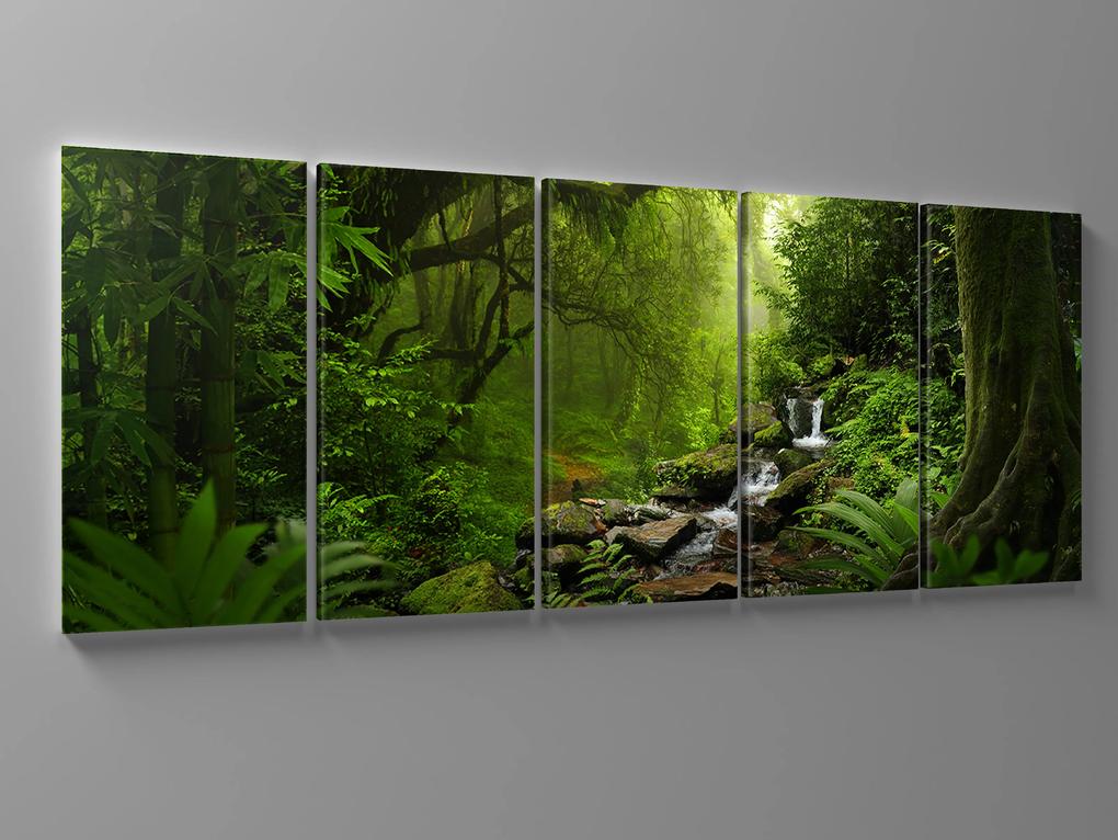 Liox Obraz deštný prales Rozměr: 250 x 100 cm