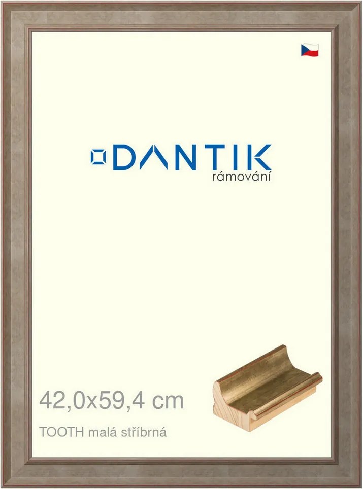 DANTIK rámeček 42x59,4 | TOOTH malá stříbrná (Plexi Čiré)