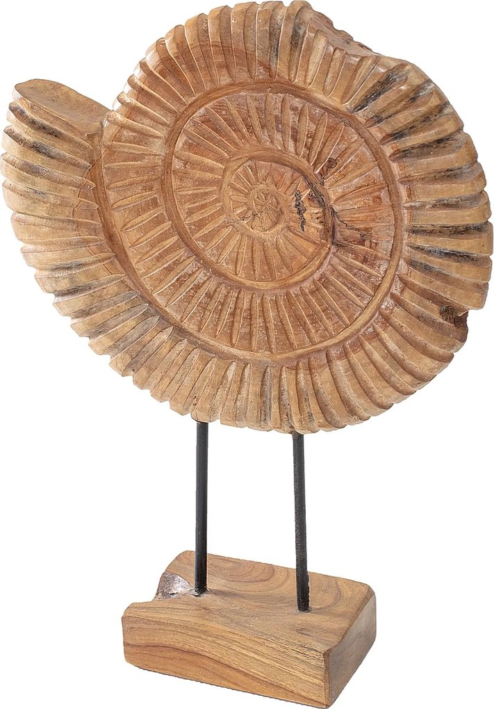 Dekorace Fossil 45 cm