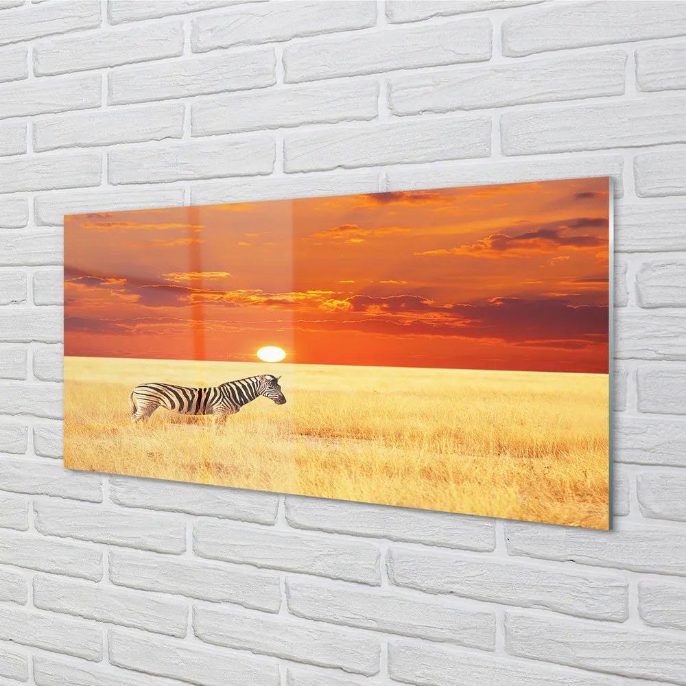 akrylový obraz Zebra pole sunset 120x60 cm