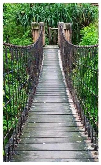 DIMEX | Vliesová fototapeta na zeď Most v lese MS-2-0084  | 150 x 250 cm | zelená, hnědá