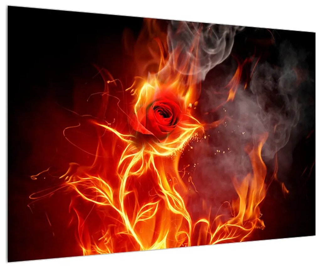 Obraz růže v ohni (90x60 cm)