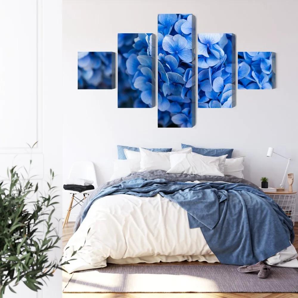 Vícedílný obraz Modré Květy Hortenzie Zblízka Nedostatek Nedostatek Plátno Canvas 250x150