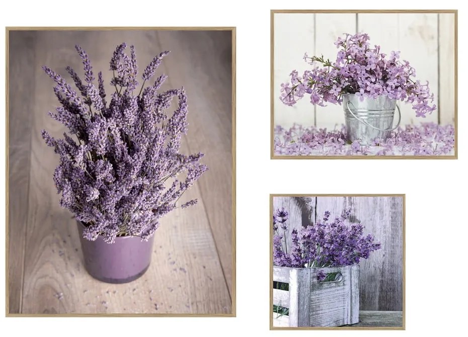 Obrazy v sadě 3 ks 40x50 cm Purple Flowers – knor