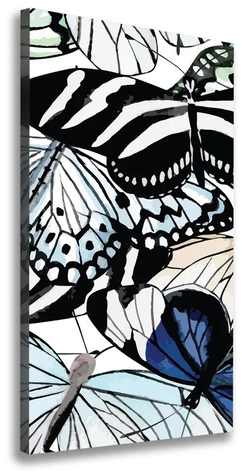 Wallmuralia Vertikální Moderní fotoobraz canvas na rámu Motýli 50x100