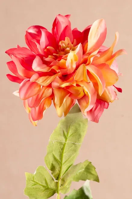 Paramit BEAUTY Jiřina dekorační květina žluto-červená 65 cm