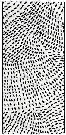 Koberce Breno Kusový koberec INK 463 007/AF100, Vícebarevné, 200 x 290 cm