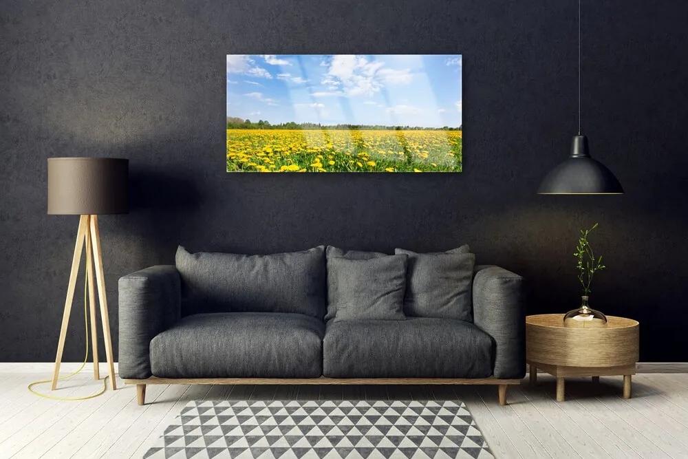 Obraz na skle Pampeliška Krajina 100x50 cm