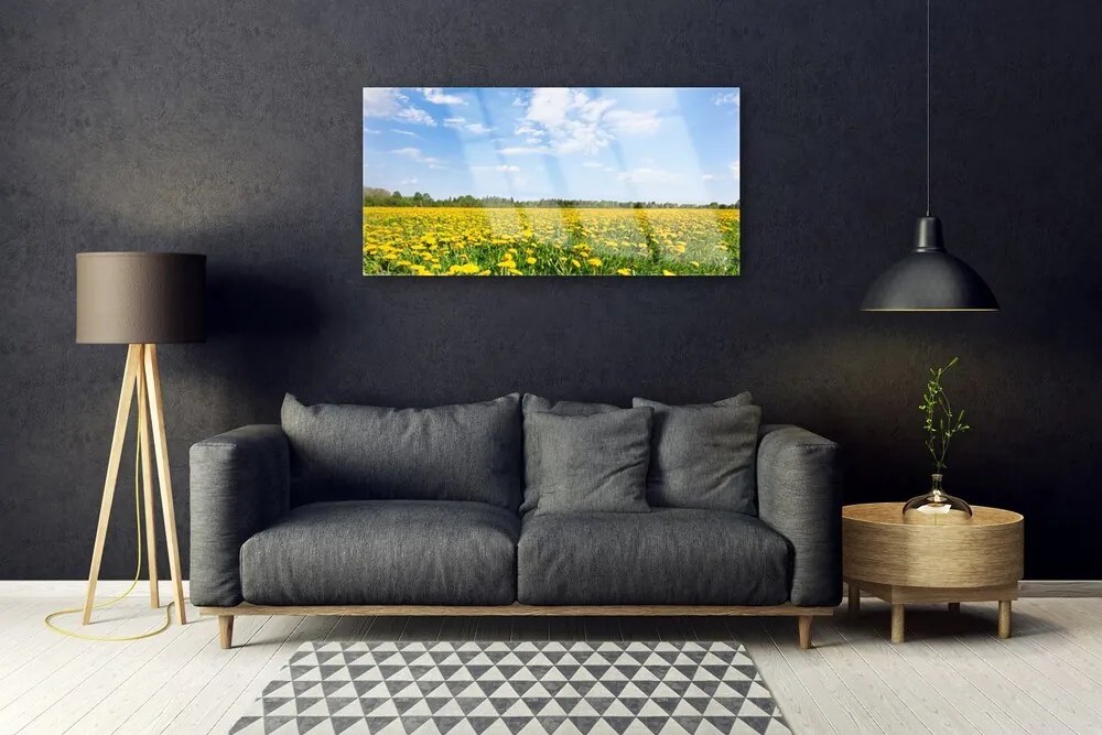 Obraz na skle Pampeliška Krajina 125x50 cm