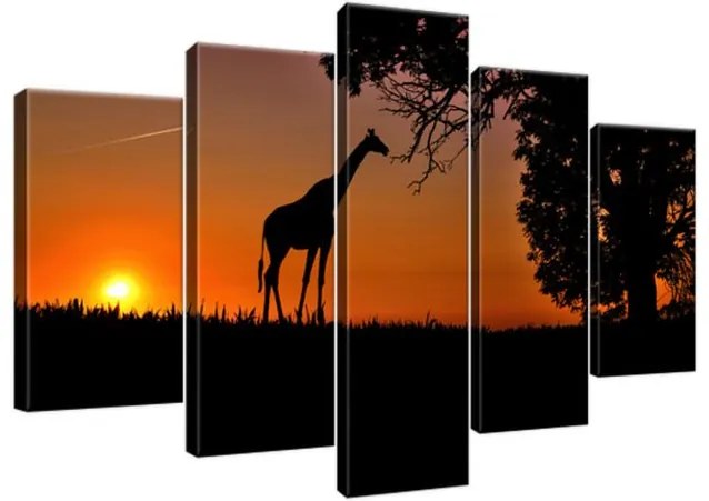 Tištěný obraz Mladá žirafa 100x63cm 597A_5D
