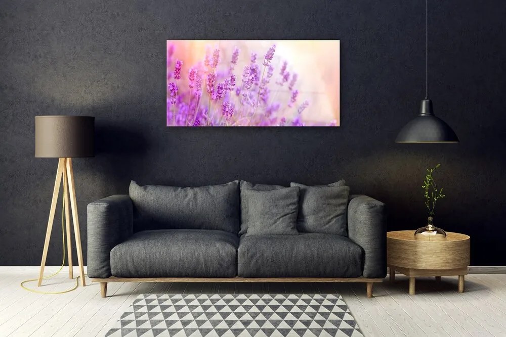 Obraz na skle Levandulové Pole Slunce Květiny 125x50 cm