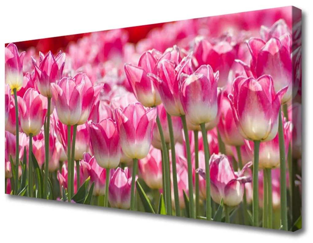 Obraz Canvas Tulipány Květiny Příroda