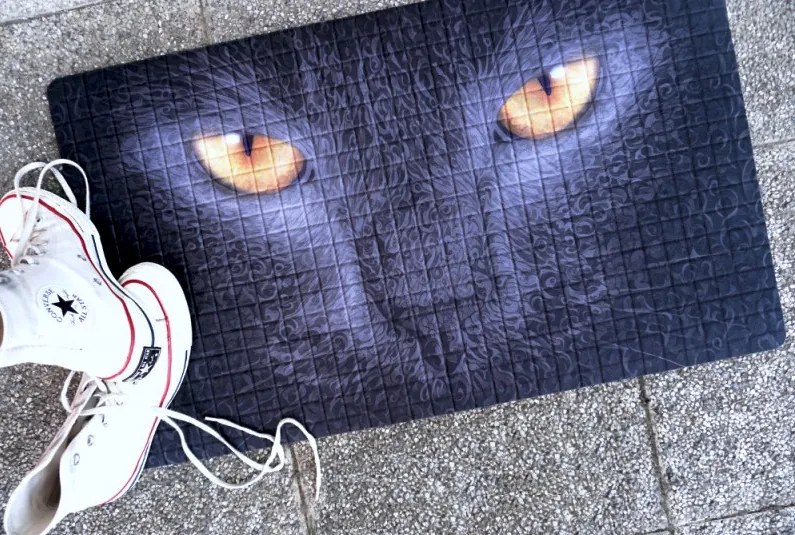 Ervi rohožka - Cat, 45x75 cm