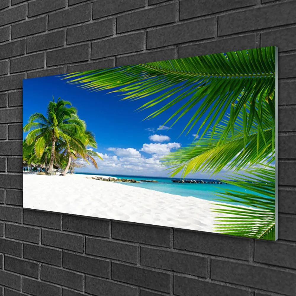 Obraz na skle Tropická Pláž Moře Výhled 100x50 cm