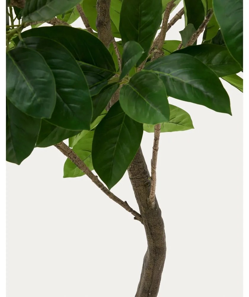 Umělý fíkus (výška 210 cm) Ficus – Kave Home