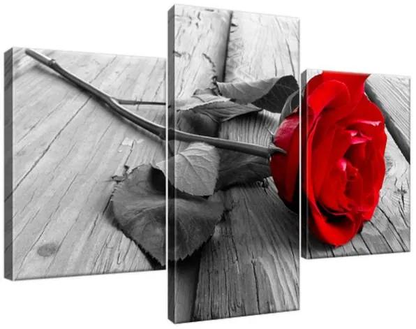 Obraz na plátně Červená růže 90x60cm 1138A_3B