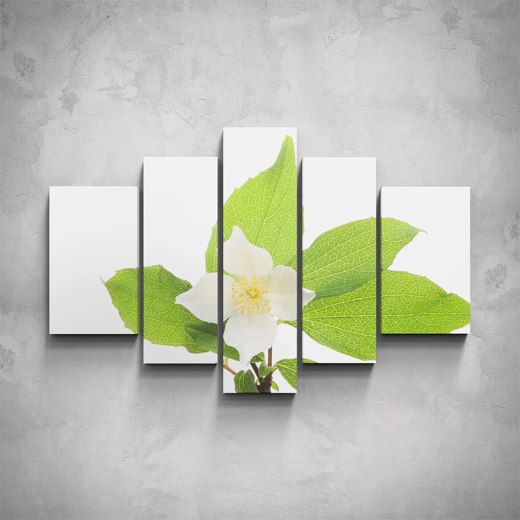 5-dílný obraz - Bílý květ - PopyDesign