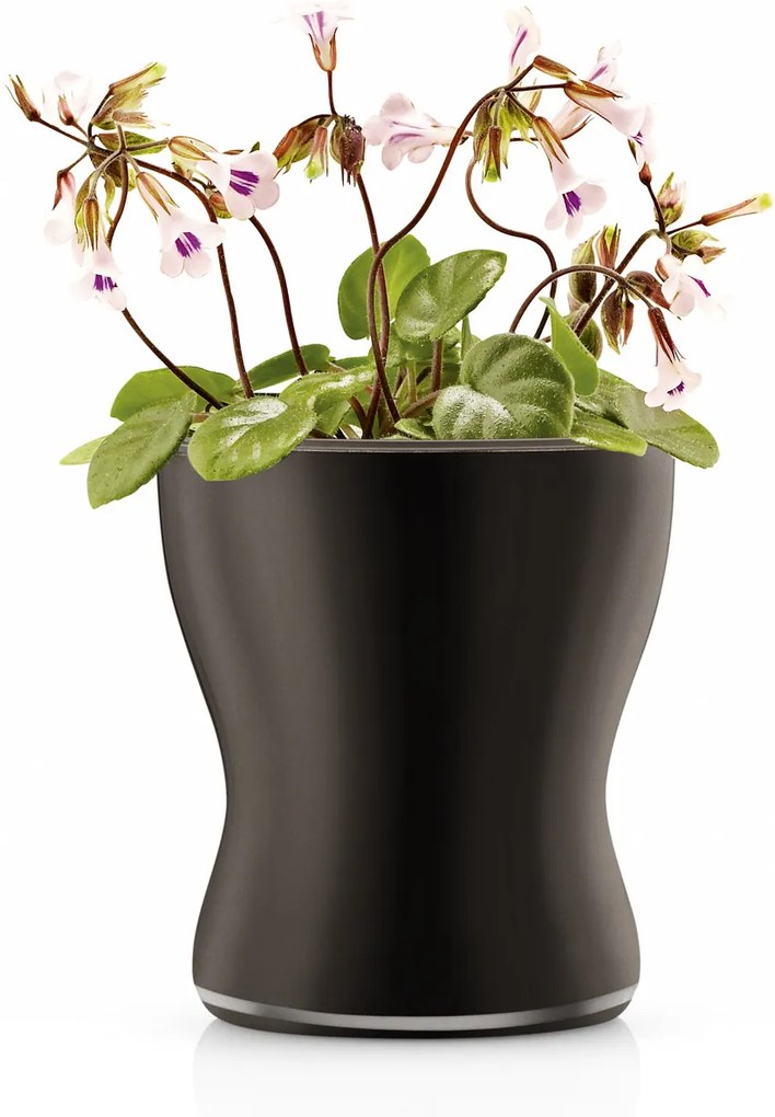 Skleněný samozavlažovací květináč na bylinky, černá 13cm, Eva Solo