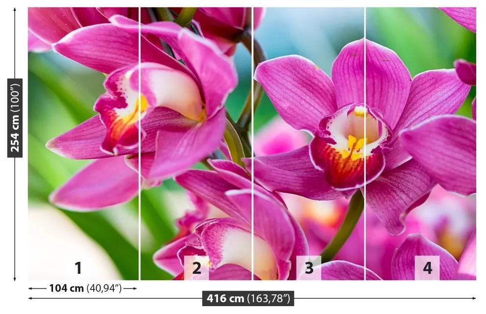 Fototapeta Růžové orchideje 104x70