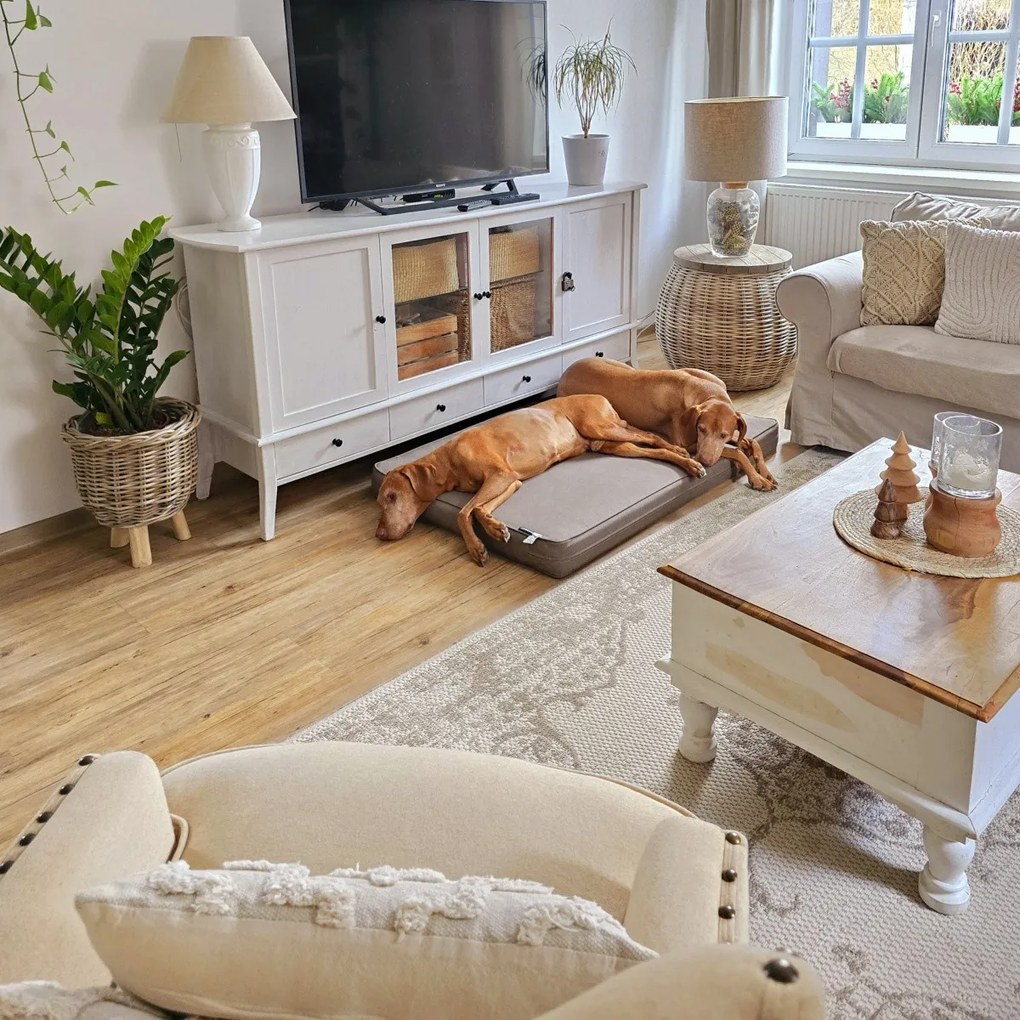 Hanse Home, Kusový koberec Beach 103854 Cream/Beige – na ven i na doma, 80x150, bílá, chodba / předsíň