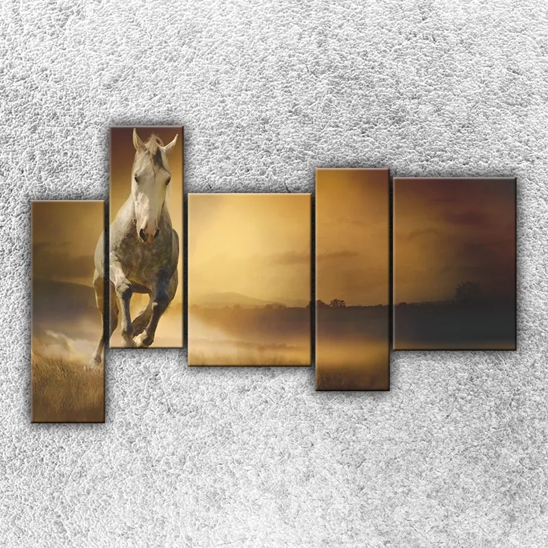 IMPAR Fotoobraz na plátno Běžící kůň 3 190x120 cm