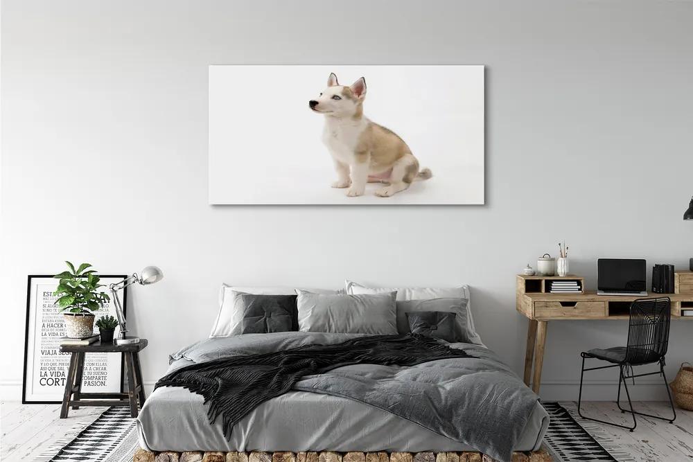 akrylový obraz Sedící malého psa 140x70 cm