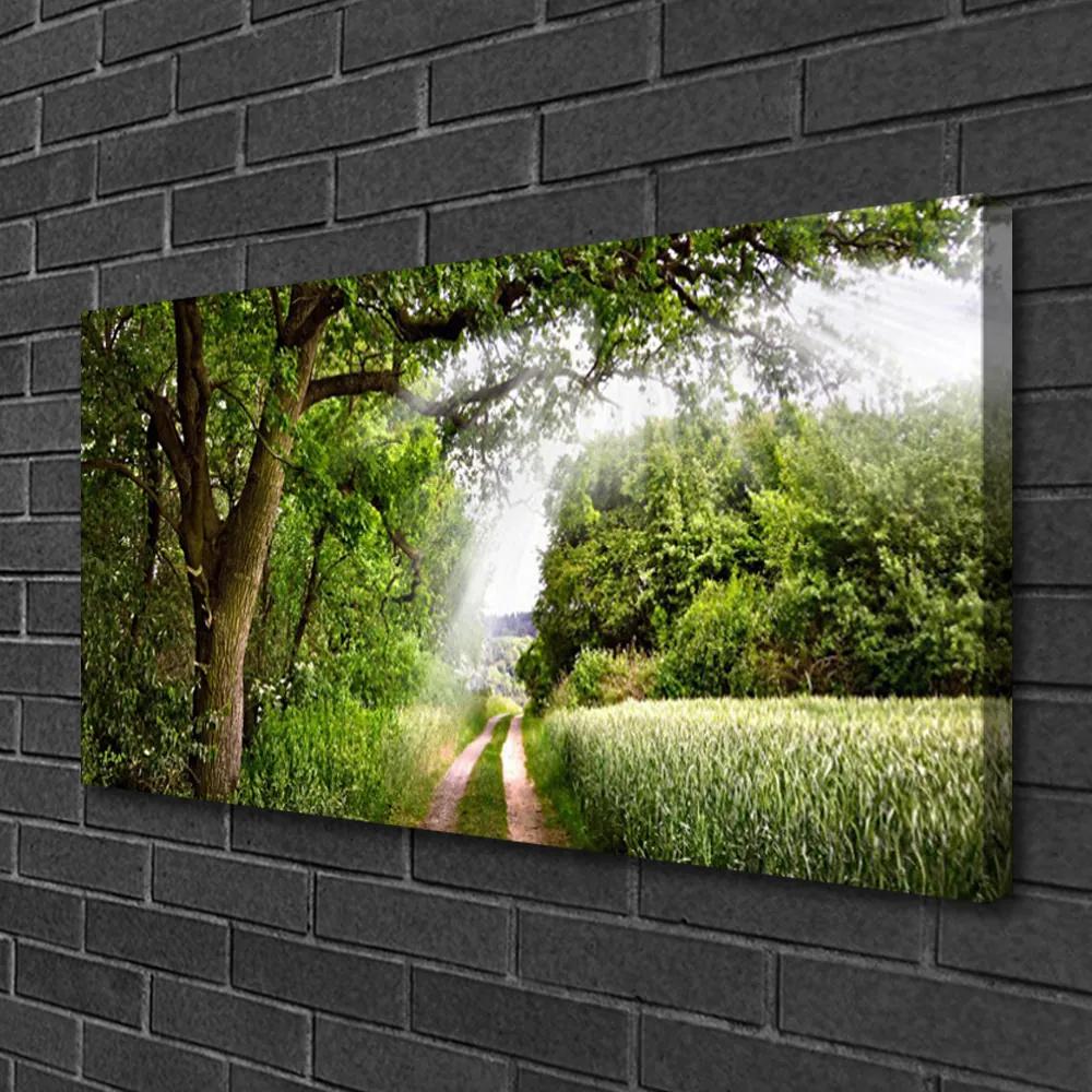 Obraz na plátně Stromy Stezka Příroda 125x50 cm