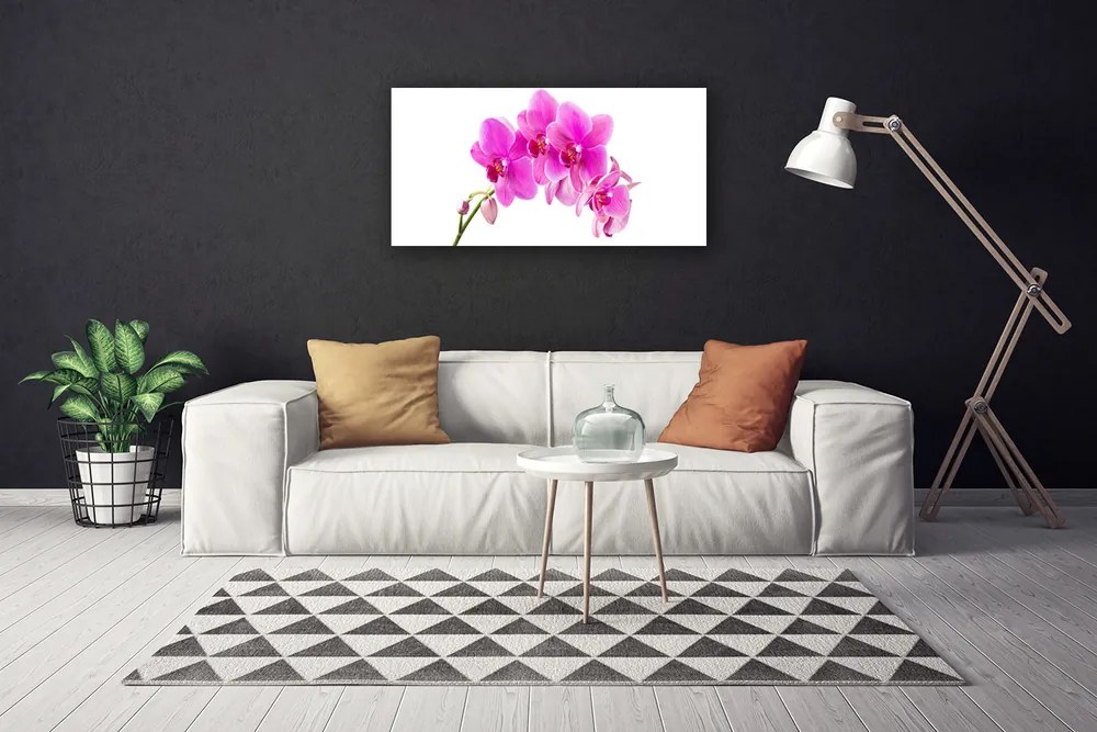 Obraz na plátně Vstavač Květ Orchidej 100x50 cm