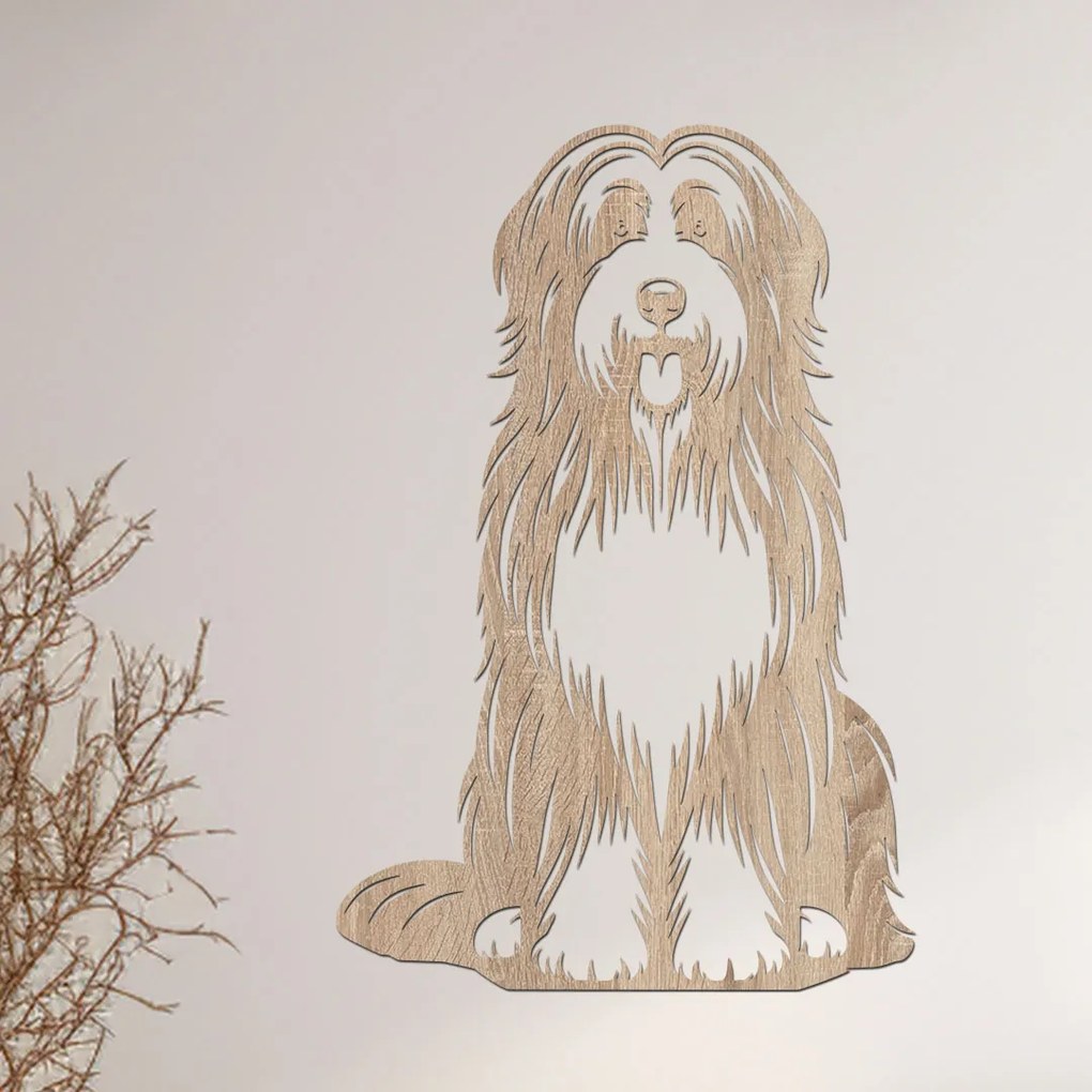 dřevo života Dřevěný obraz Bearded Collie Zvolte rozměr (cm): 62x80, Zvolte barvu dekoru: Ořech