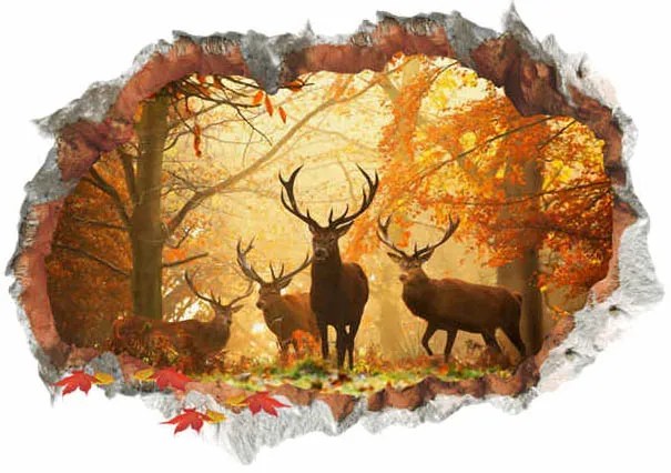 ZOOYOO Samolepka na zeď Podzimní les 3D 50 x 70 cm