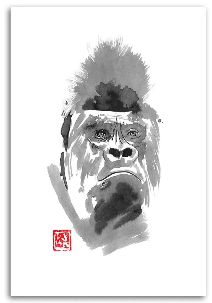 Gario Obraz na plátně Gorila - Péchane Rozměry: 40 x 60 cm