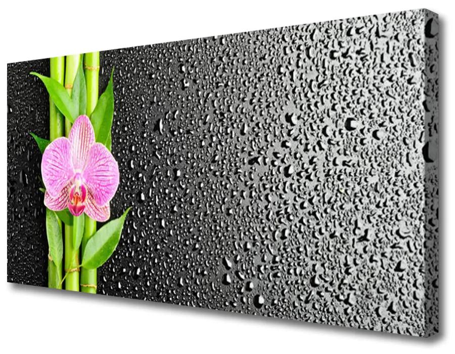 Obraz na plátně Bambus Stonke Květ Rostlina 125x50 cm