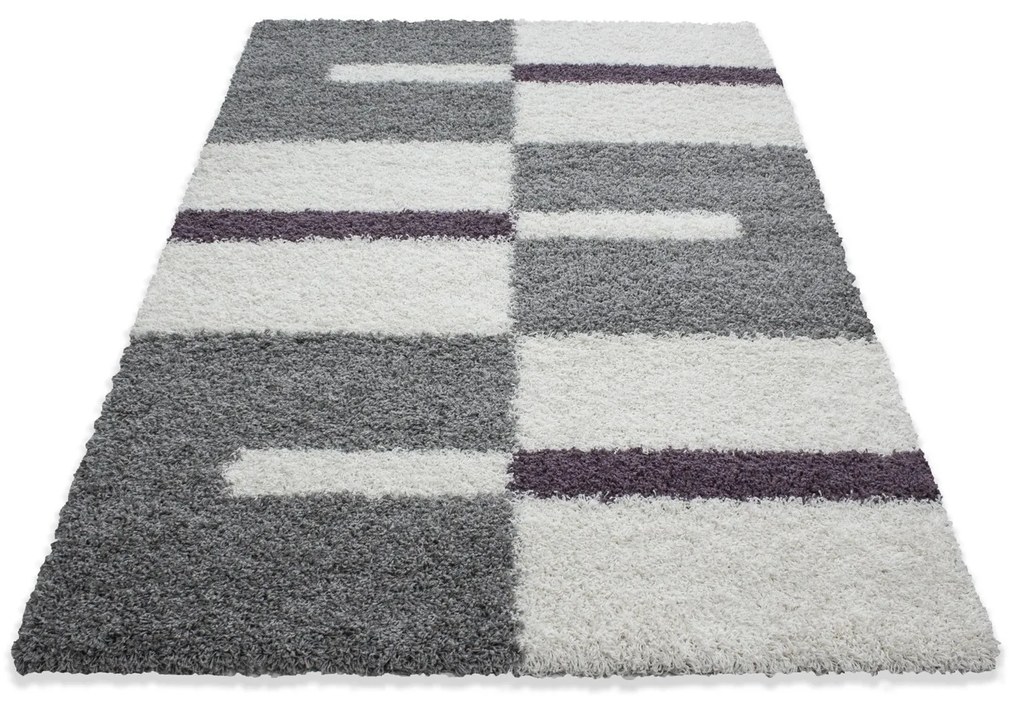 Ayyildiz Kusový koberec GALA 2505, Lila Rozměr koberce: 160 x 230 cm