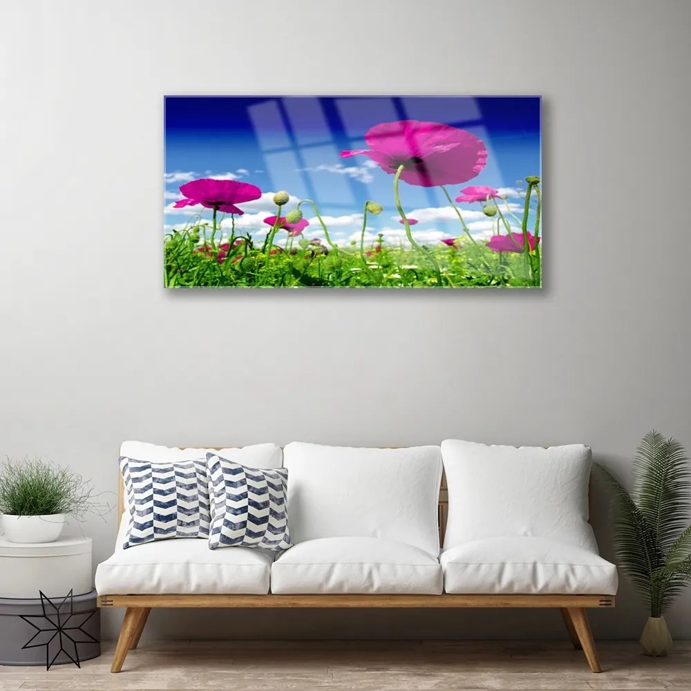 Obraz na skle Louka Květiny Nebe Příroda 100x50 cm