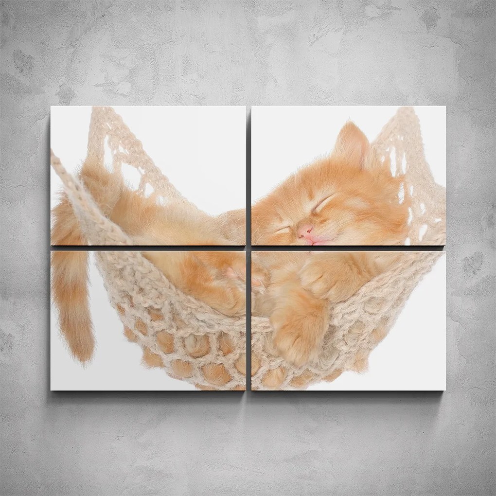4-dílný obraz - Kotě v houpací síti - PopyDesign