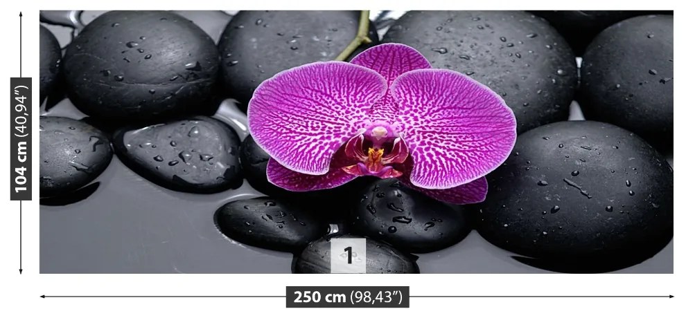 Fototapeta Orchidejové kameny 104x70