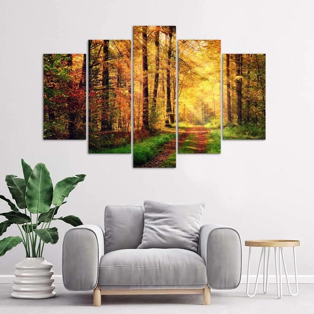 Gario Obraz na plátně Forest road - 5 dílný Rozměry: 100 x 70 cm