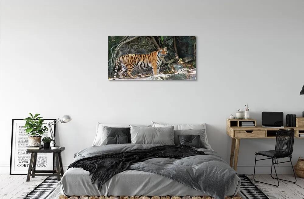Obrazy na plátně tygr džungle 125x50 cm