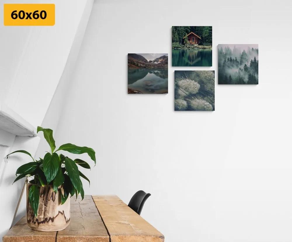 Set obrazů kouzelná příroda - 4x 60x60 cm