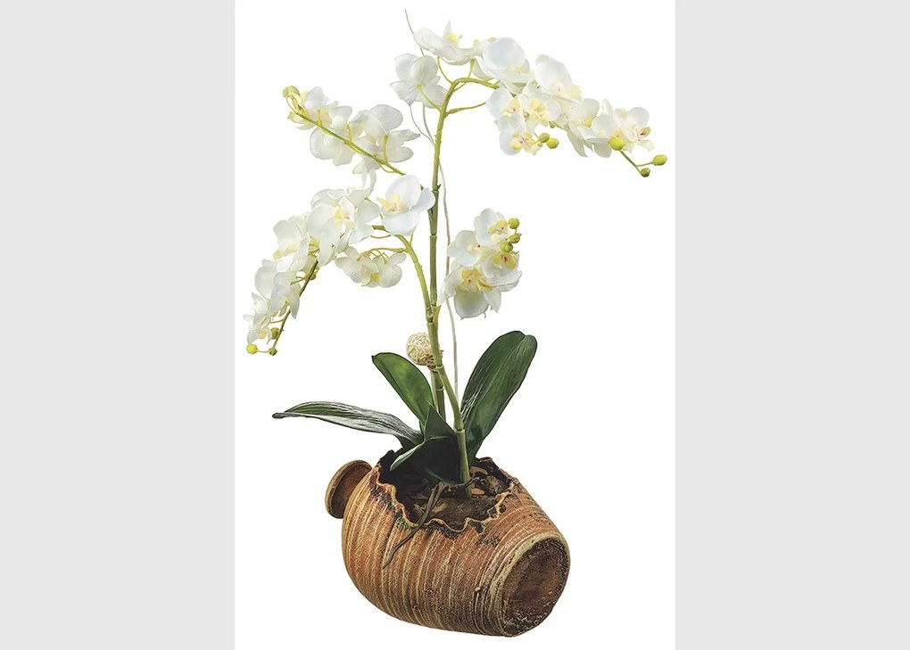 Samolepka na zeď Orchidej v Květináče | 42.5 x 65 cm | DSM3430