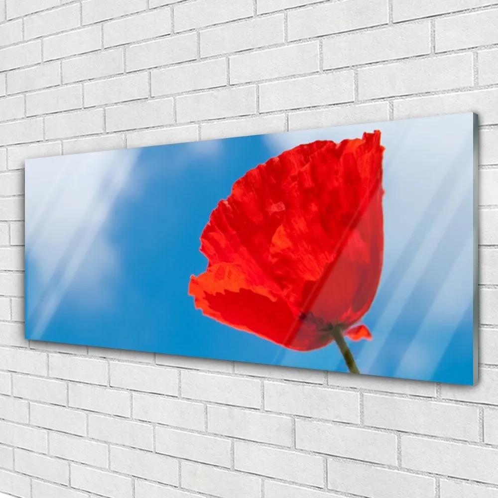 akrylový obraz Tulipán 125x50 cm