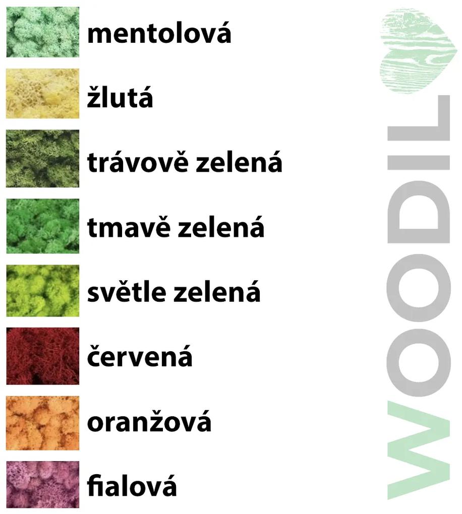 WOODILO Věnec ze sobího mechu | 27 nebo 35 cm Barva lišejníku: trávově zelená, Průměr: 27 cm