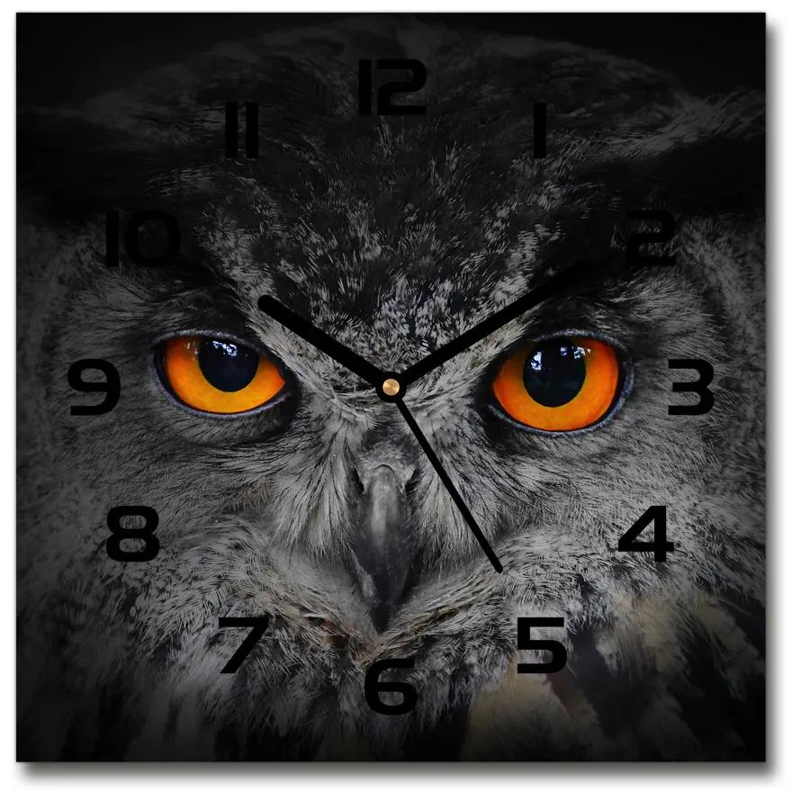 Wallmuralia Skleněné hodiny oči sovy 30x30 Oči sovy 30x30 cm